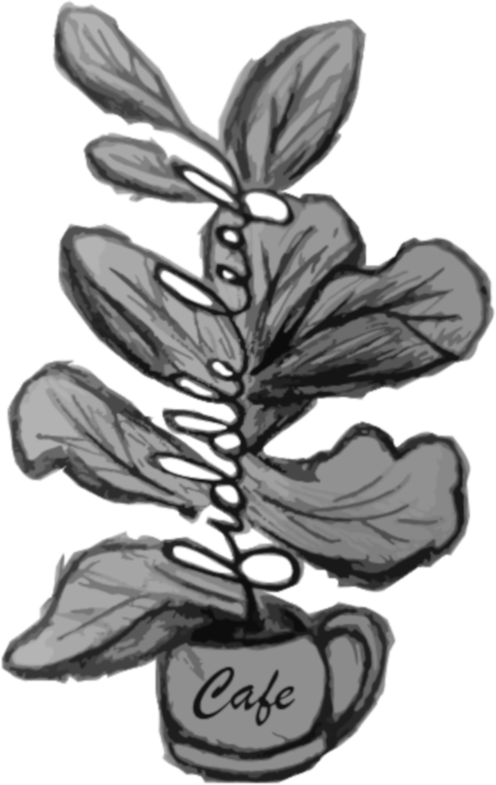 Neighborhood coffee shop | Fiddle Leaf Cafe